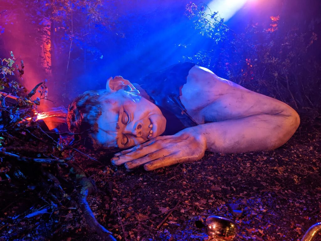 Harry Potter A Forbidden Forest Experience - Designooor